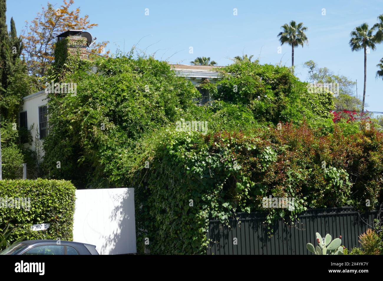 Los Angeles, California, USA 5th May 2024 Actress Tallulah Bankhead ...