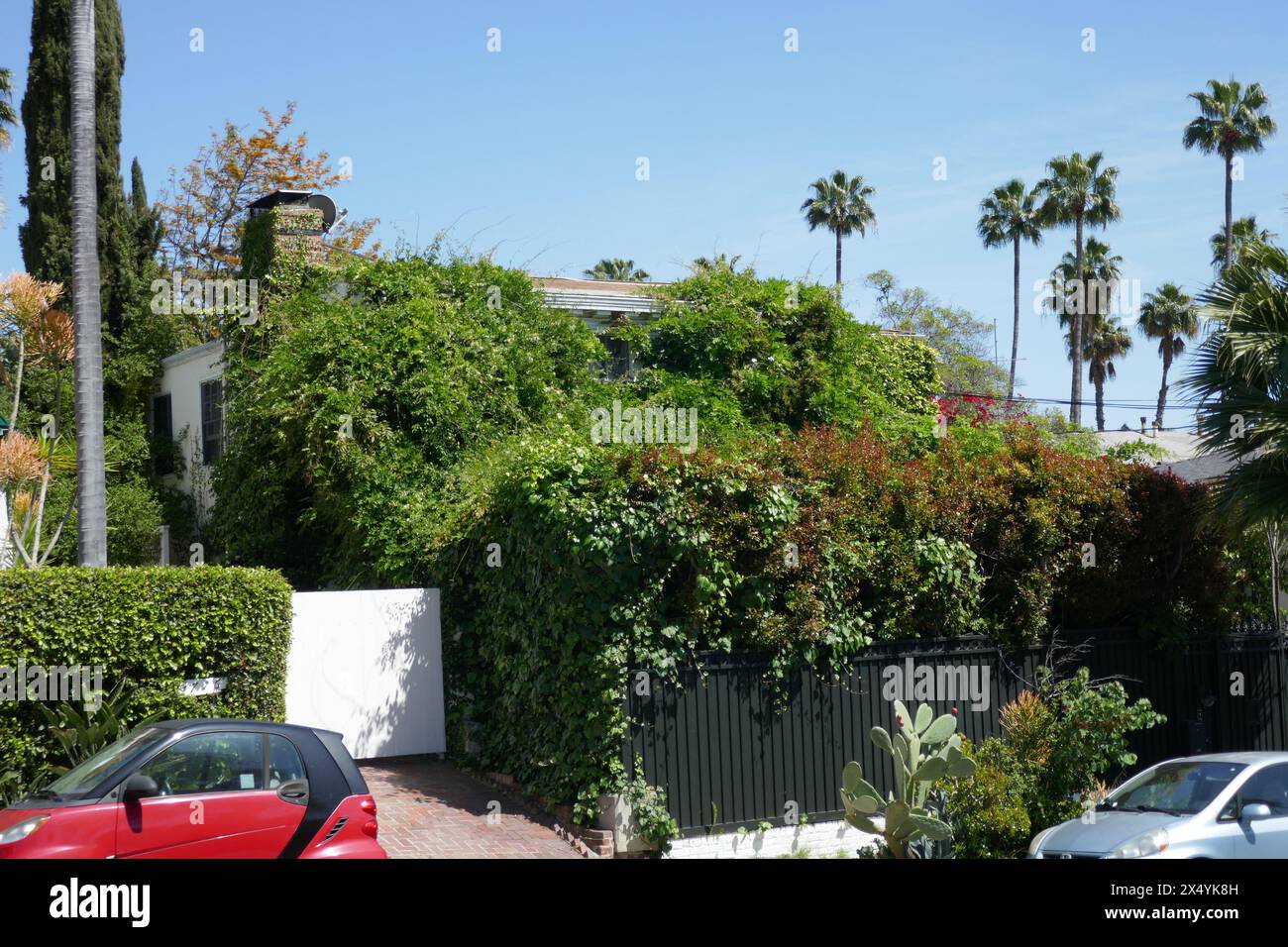 Los Angeles, California, USA 5th May 2024 Actress Tallulah Bankhead ...