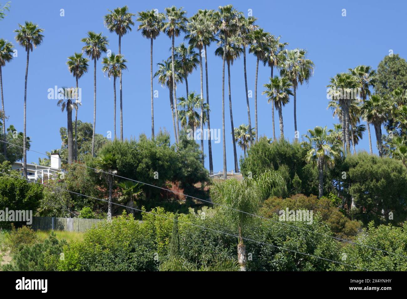 7655 curson terrace hi-res stock photography and images - Alamy