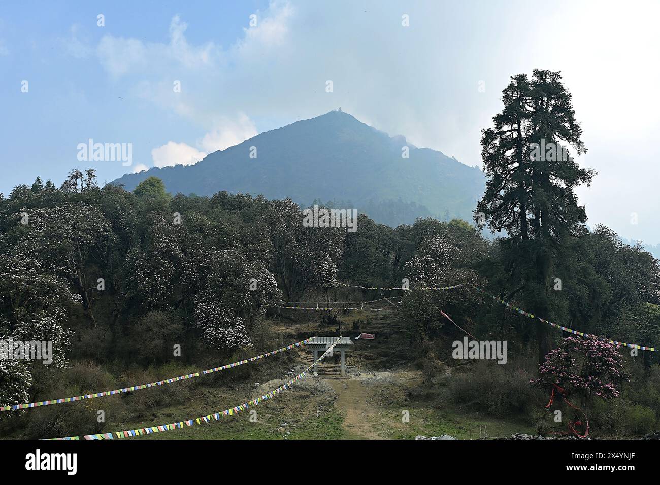 Pyramidal Ama Yangri mountain peak rising above the base camp at ...