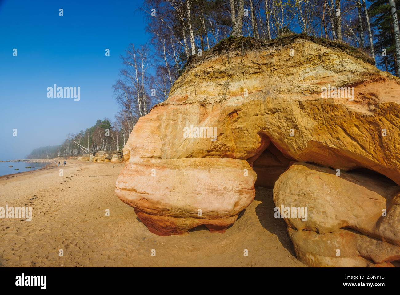 Veczemju Klintis, Veczemju Cliffs on Baltic Sea Near Tuja, Latvia ...