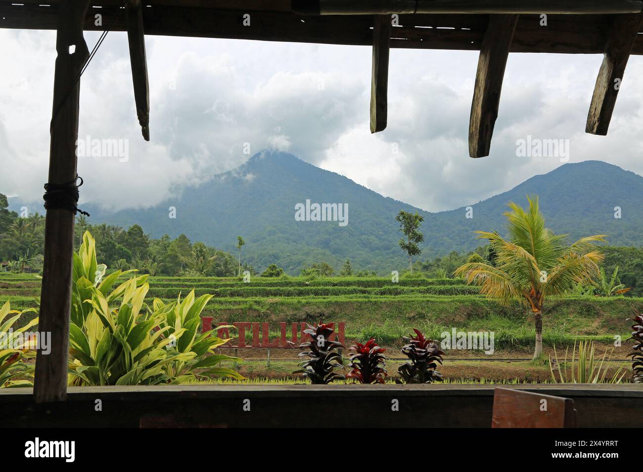 Rice plant roof hi-res stock photography and images - Alamy