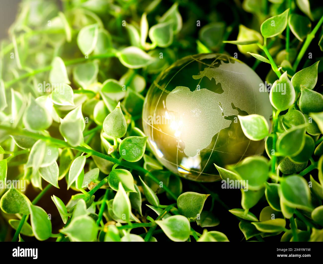 Close-up a small glass world globe on green nature leaves plant ...
