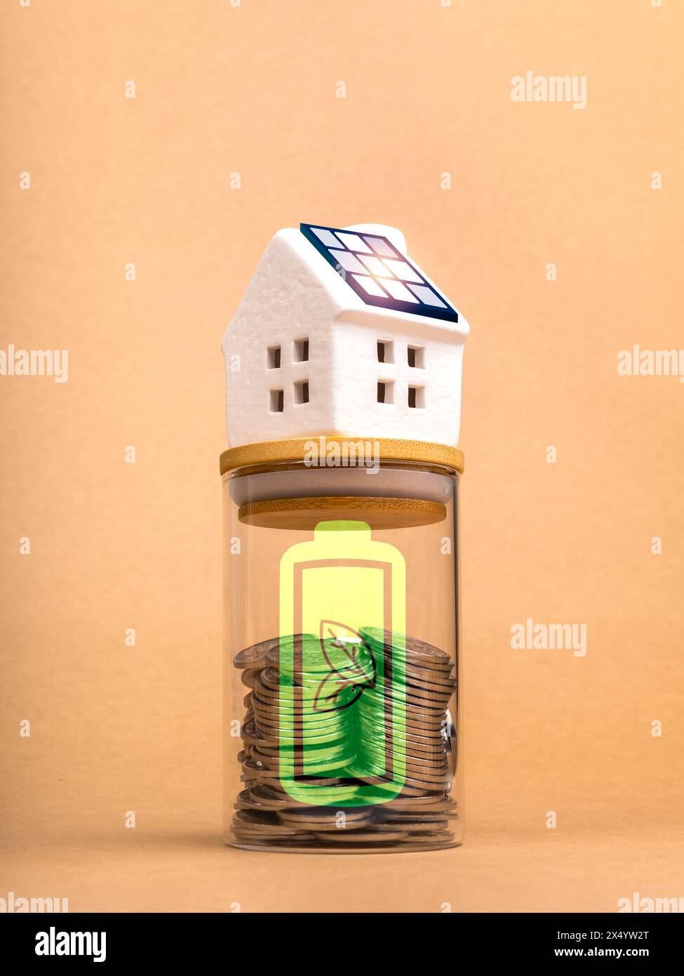 Sustainability at home, savings, environment responsibility concepts ...