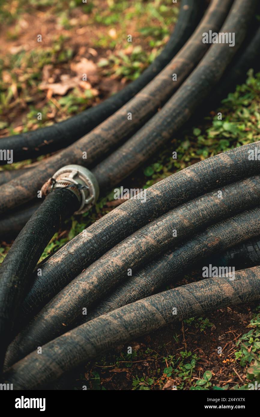Industrial watering hose with hydrant plug, selective focus Stock Photo ...