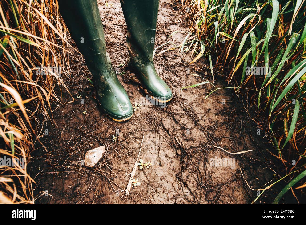 Dirty rubber boots in muddy soil, farmer standing in field after rain, selective focus Stock ...
