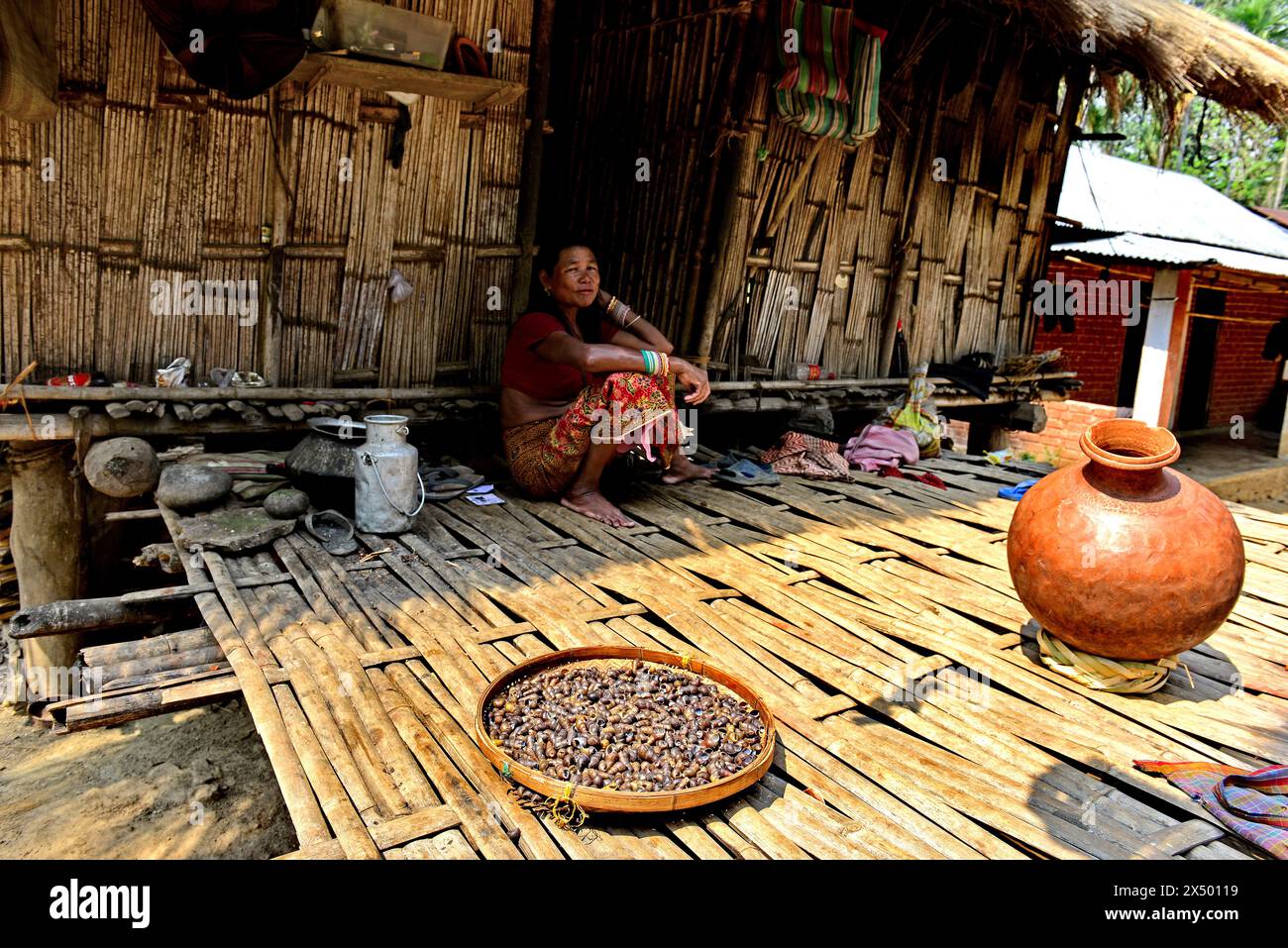 Totos are one of the most primitive communities in the world and this ...