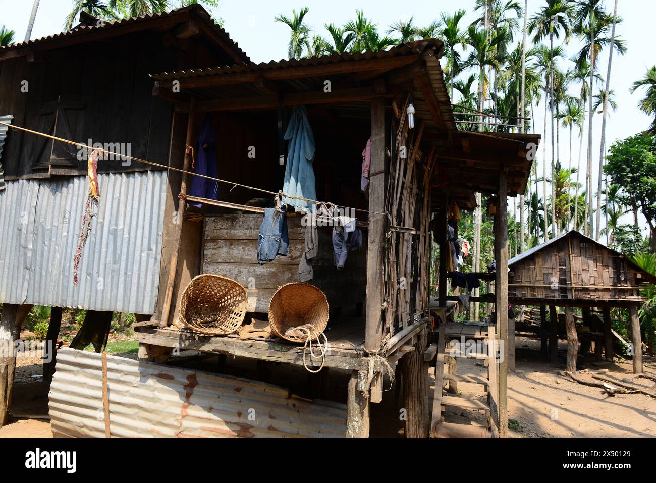 Totos are one of the most primitive communities in the world and this ...