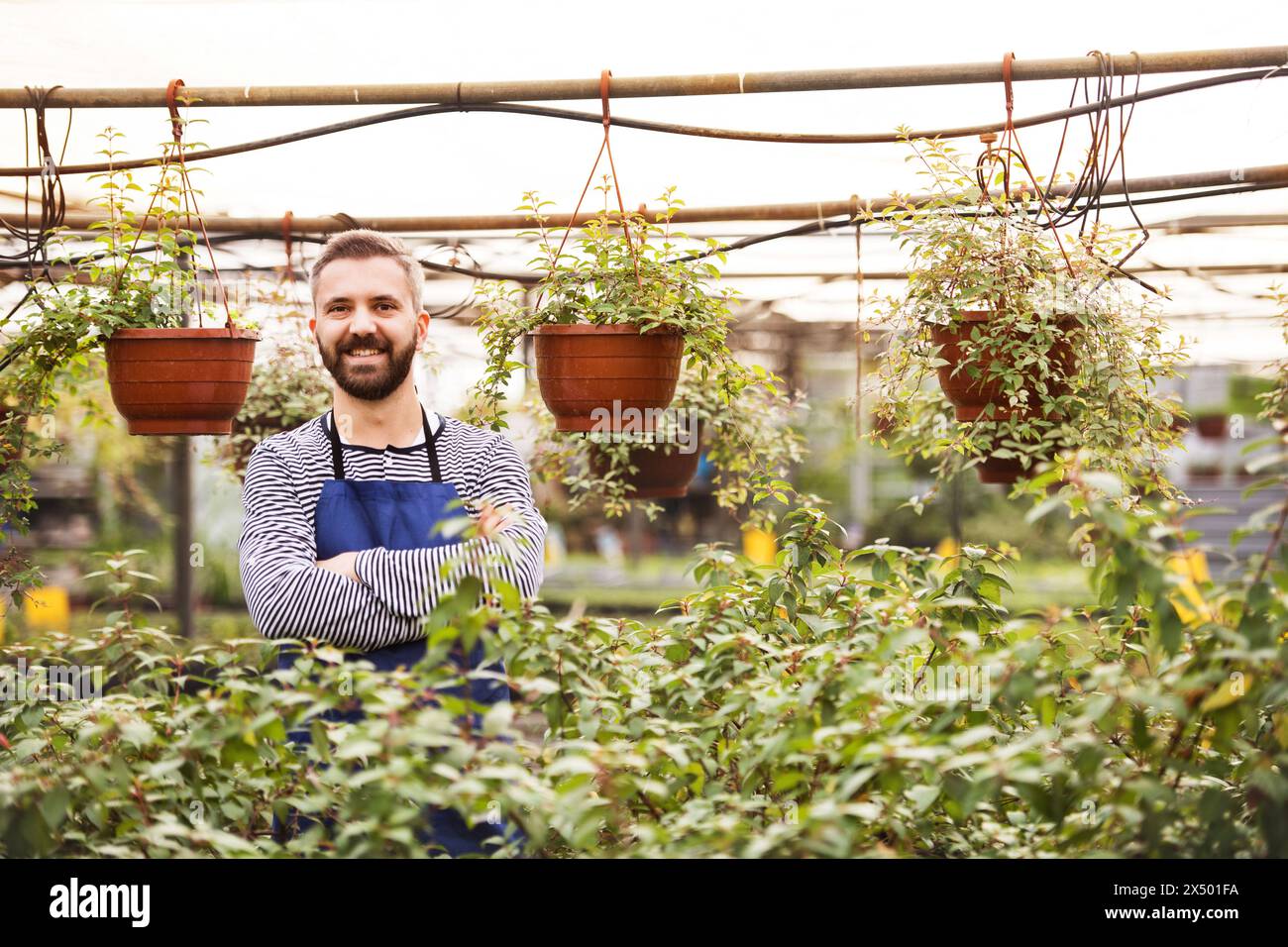 Portrait of gardener standing in the middle of plants, flowers and ...
