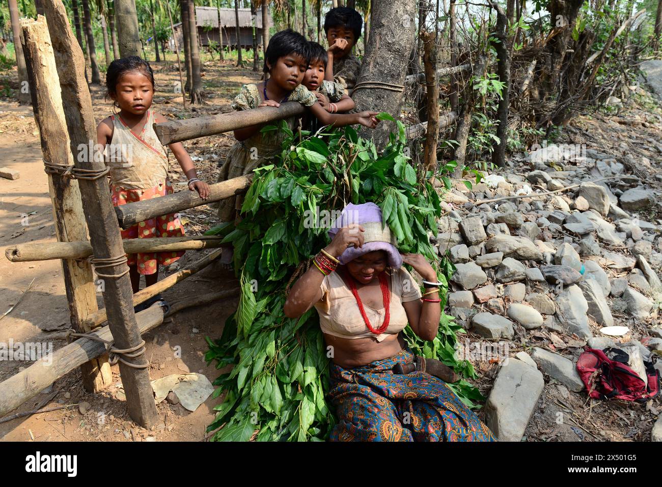 Totos are one of the most primitive communities in the world and this ...