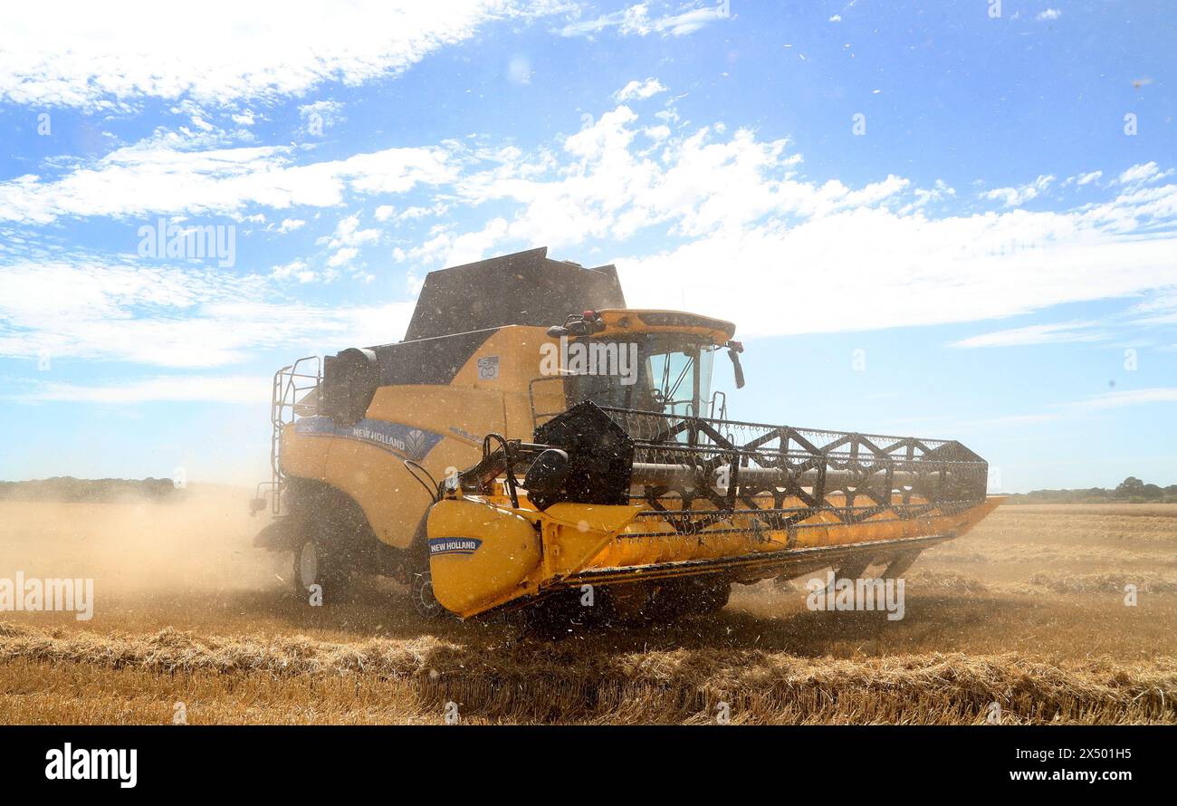 File photo dated 05/08/20 of a combine harvester cutting a crop of ...