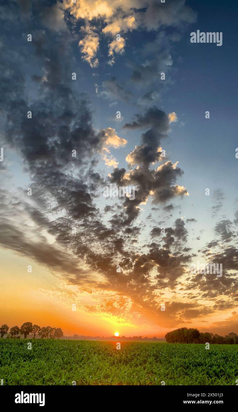 This image captures the serene beauty of a sunrise over lush farmland ...