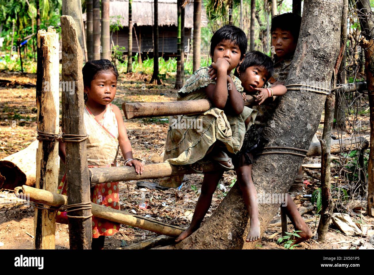 Totos are one of the most primitive communities in the world and this ...