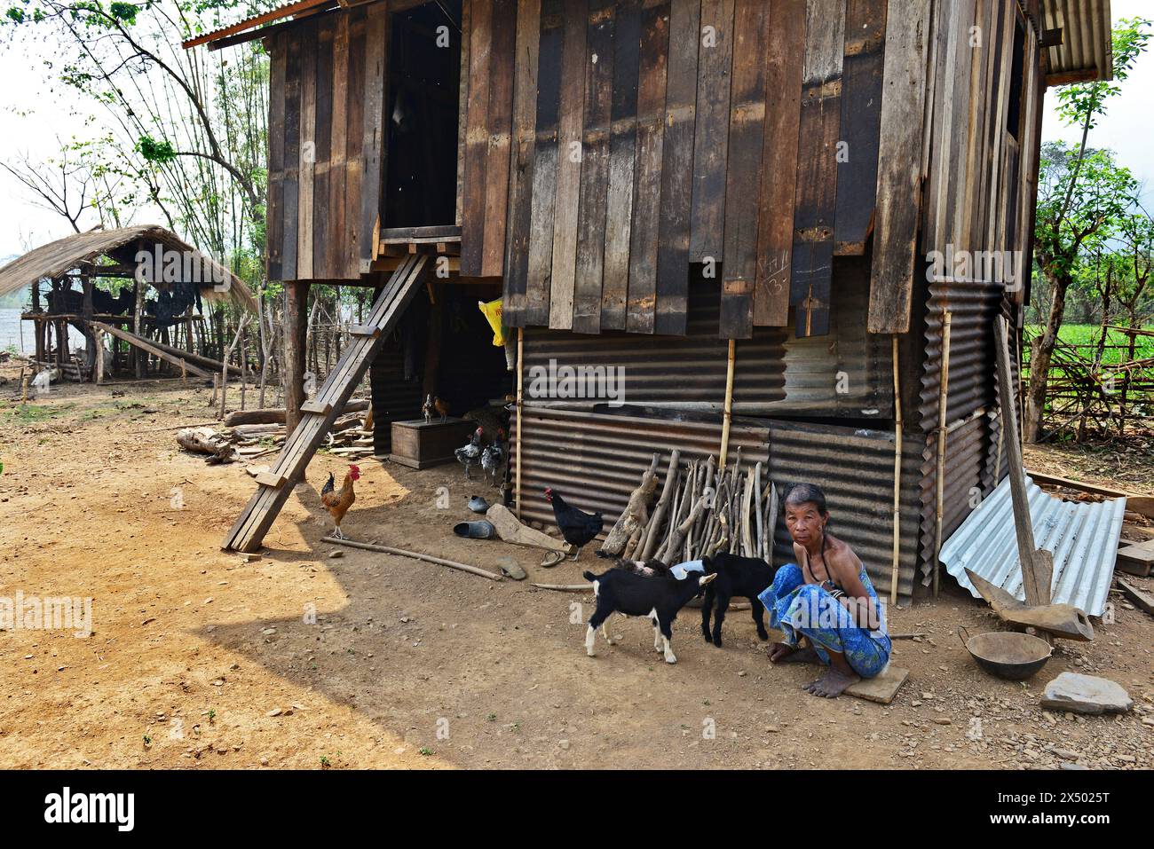 Totos are one of the most primitive communities in the world and this ...