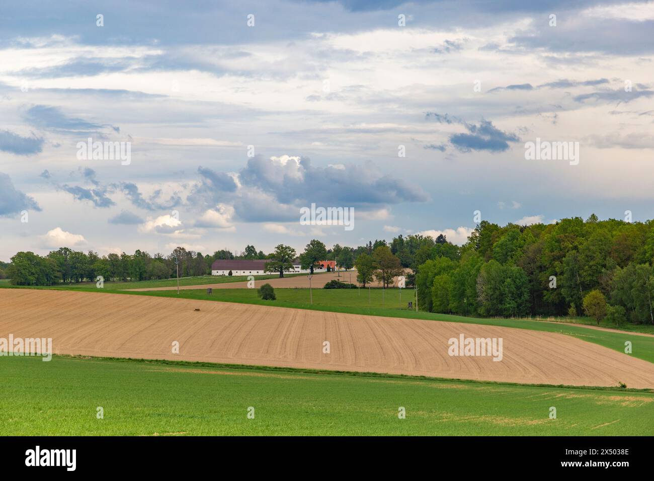 Summer landscape with hilly green field and farm in the distance Stock ...