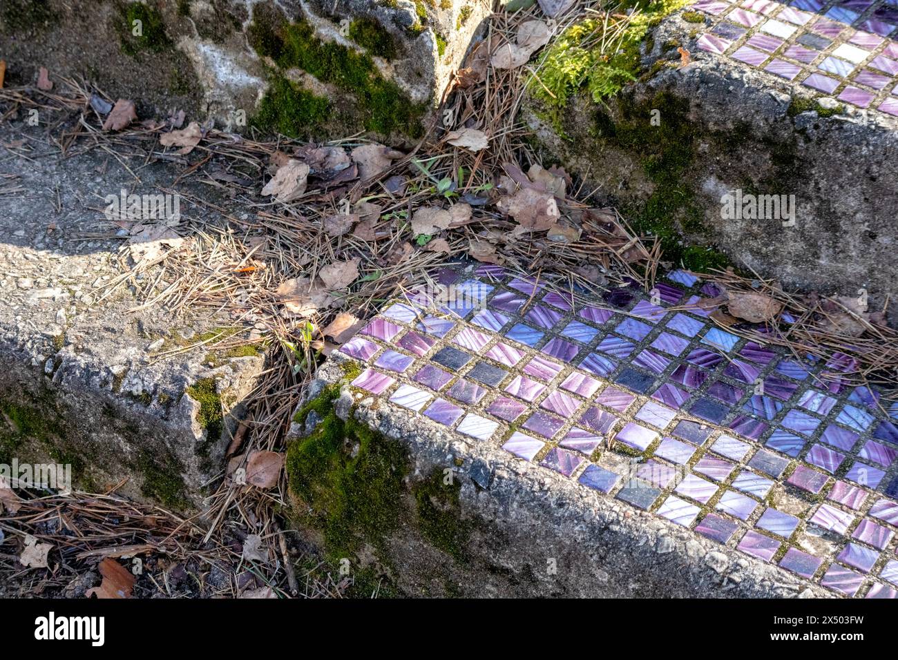 colorful small tiles on the steps Stock Photo - Alamy