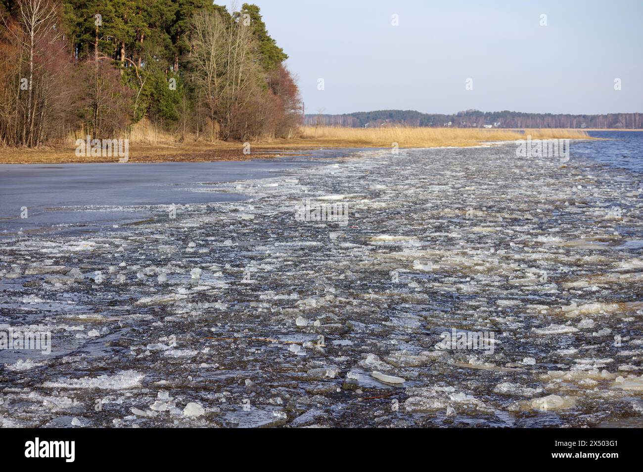 landscape in winter with melting ice in water on a background of green ...