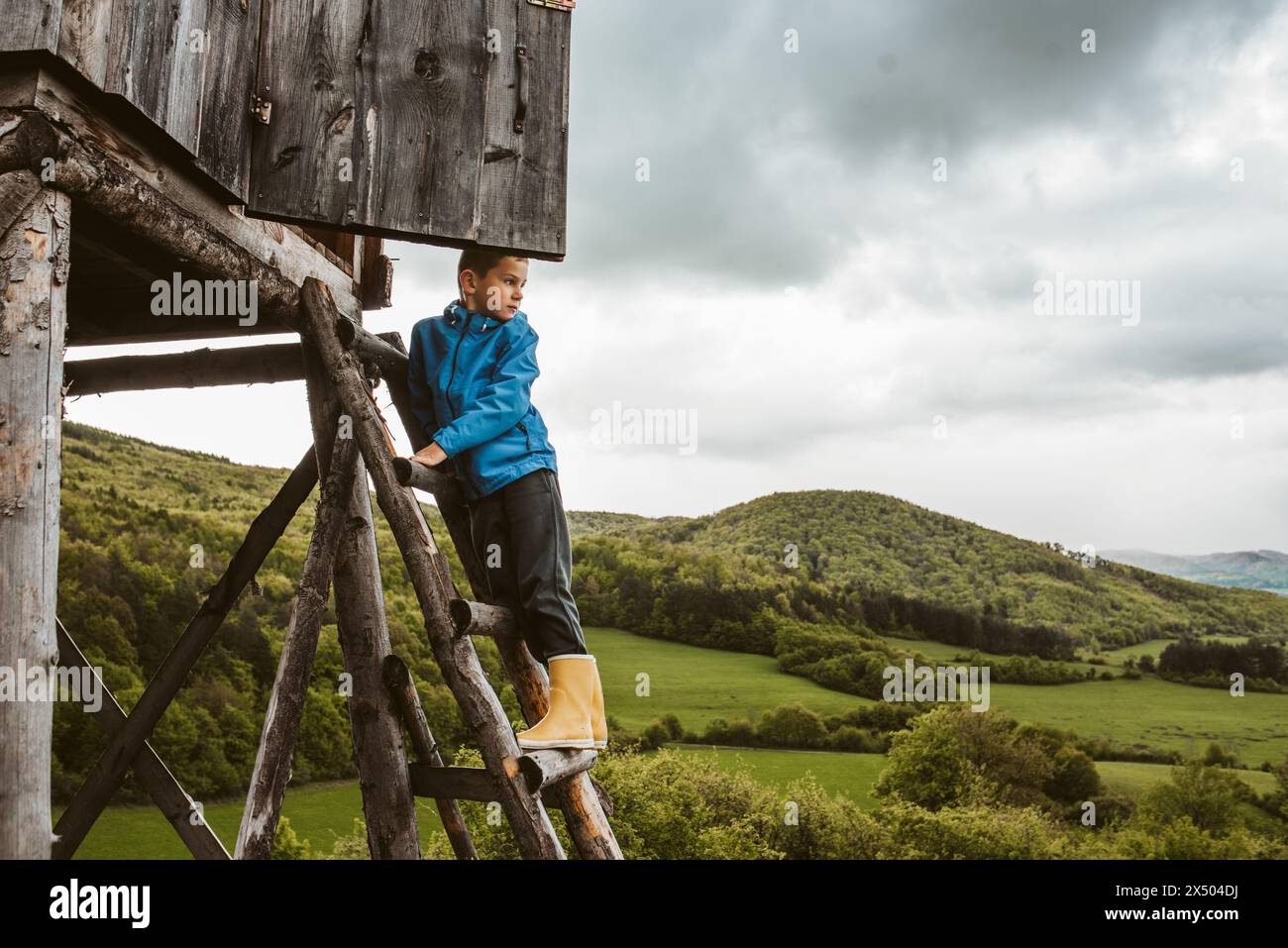 Boy on ladder of hunting blind during their walk in forest, climbing up ...
