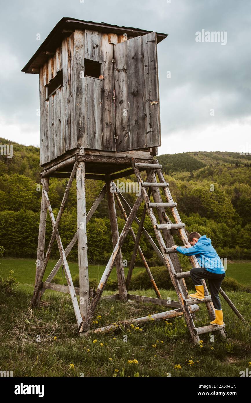 Boy on ladder of hunting blind during their walk in forest, climbing up ...