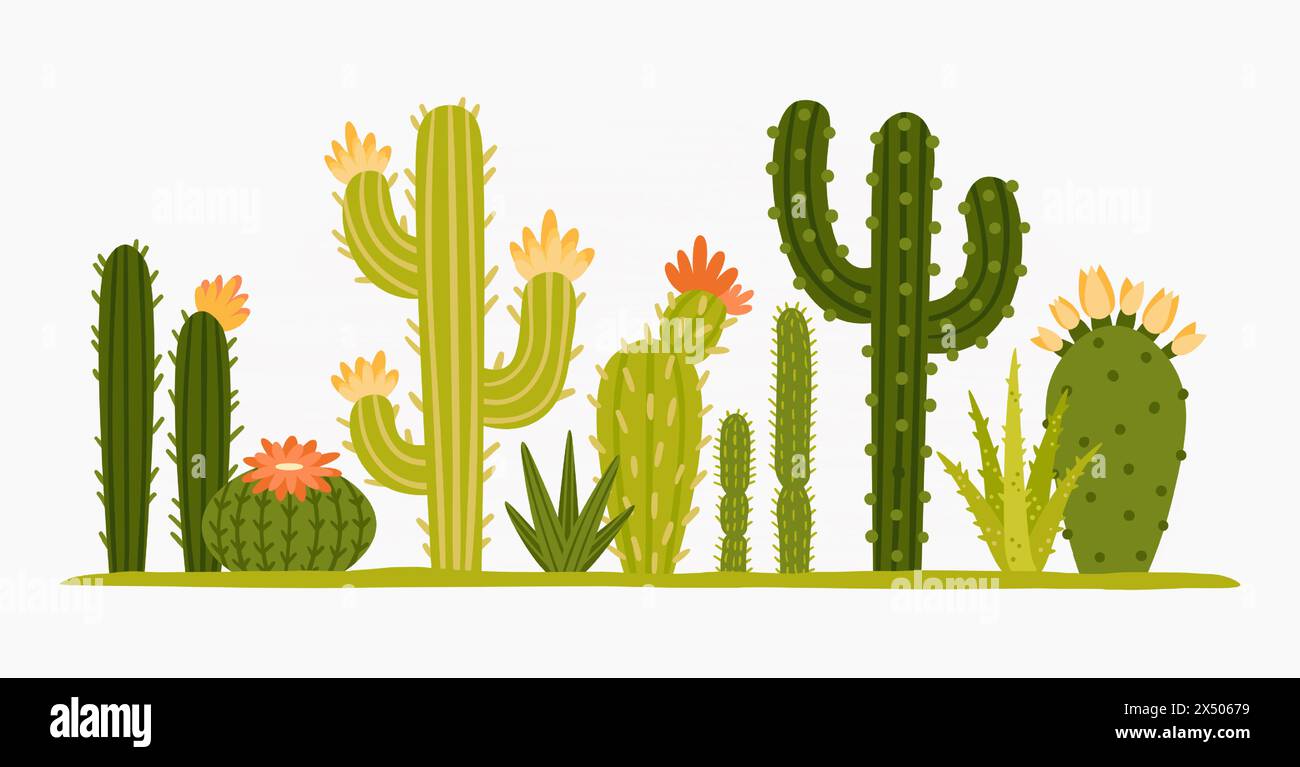 Mexican desert cactus green cartoon collection flora flora Stock Vector ...
