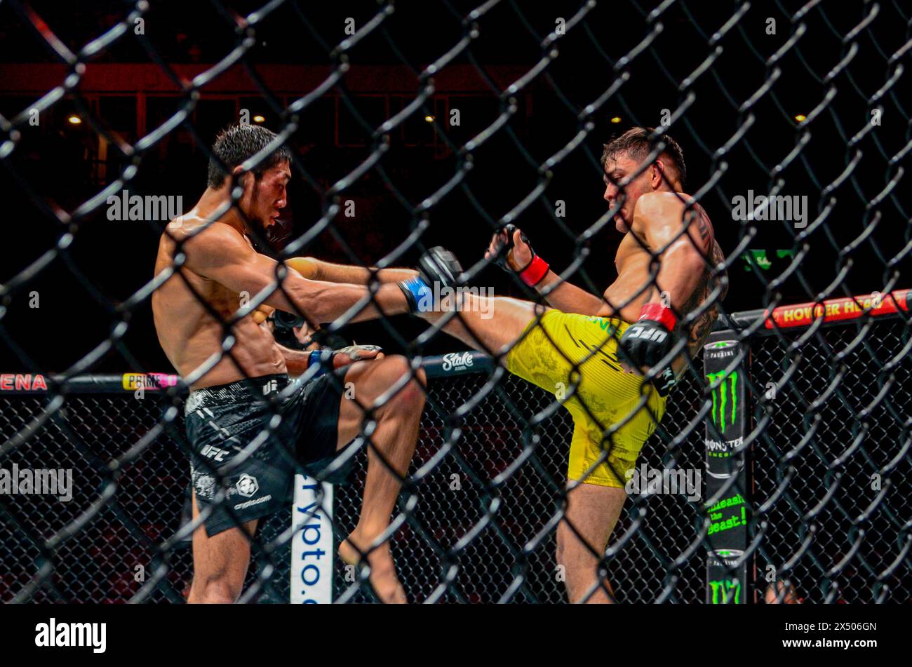 Rio De Janeiro, Brazil. 04th May, 2024. UFC301 begins this Saturday (4 ...