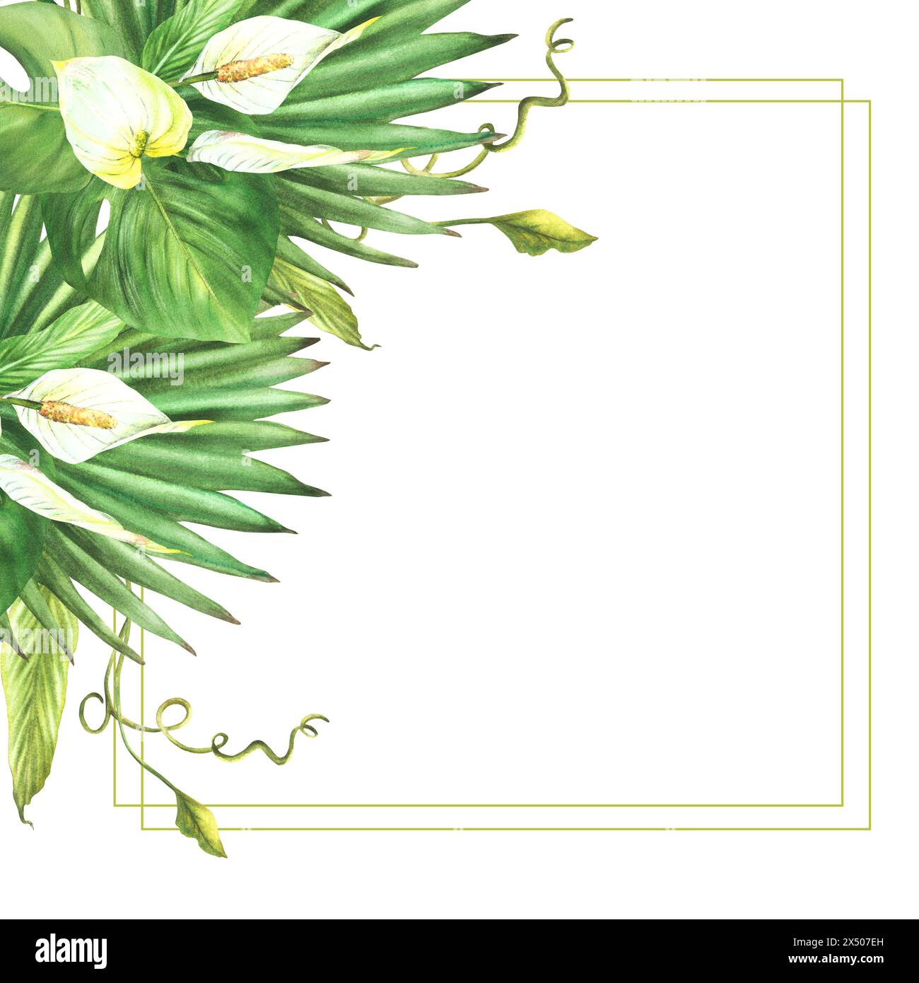 Tropical botanical frame, anthurium flowers, palm leaf, calathea ...