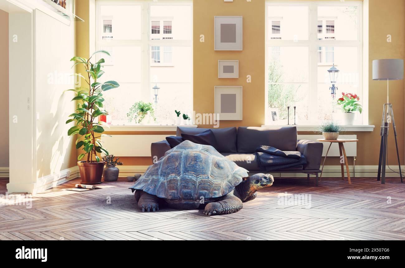 giant turtle in the living room Stock Photo - Alamy