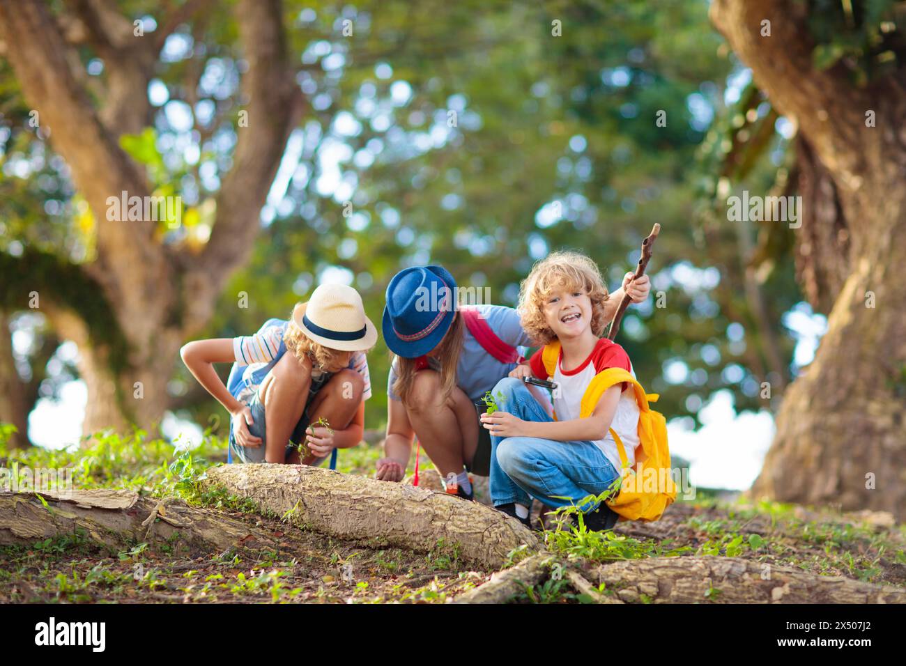 Kids explore nature. Children hike in sunny summer park. Scout club and ...