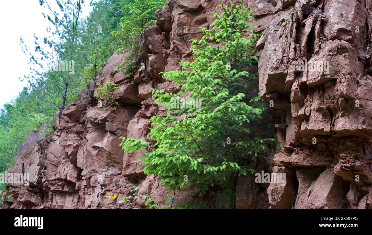 Quarry stone wall hi-res stock photography and images - Alamy