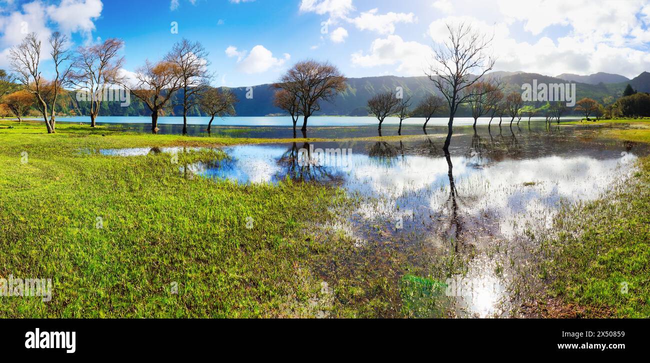 Azores lake of Sete Cidades with tree in water reflection and sun, at ...