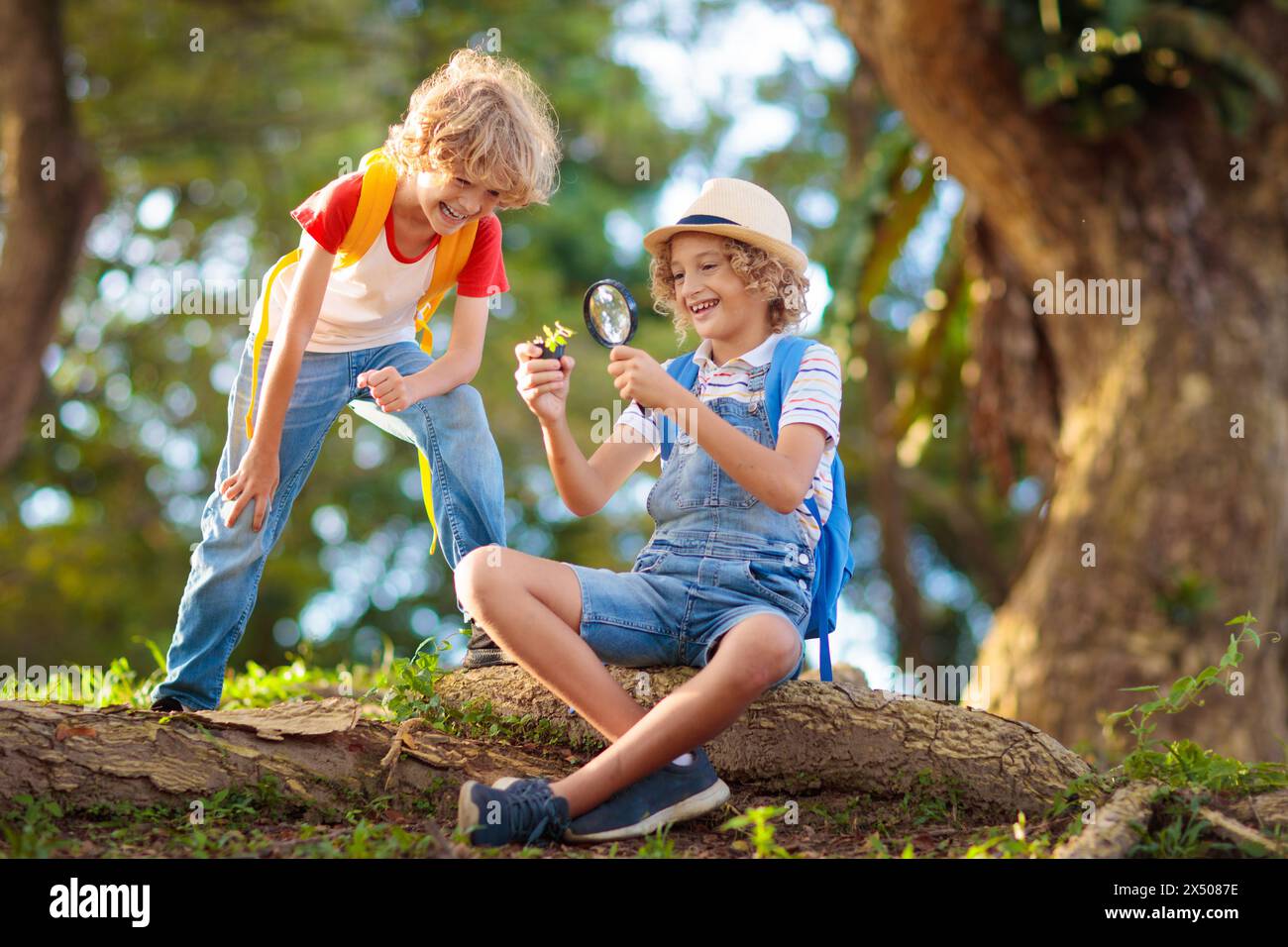 Kids explore nature. Children hike in sunny summer park. Scout club and ...