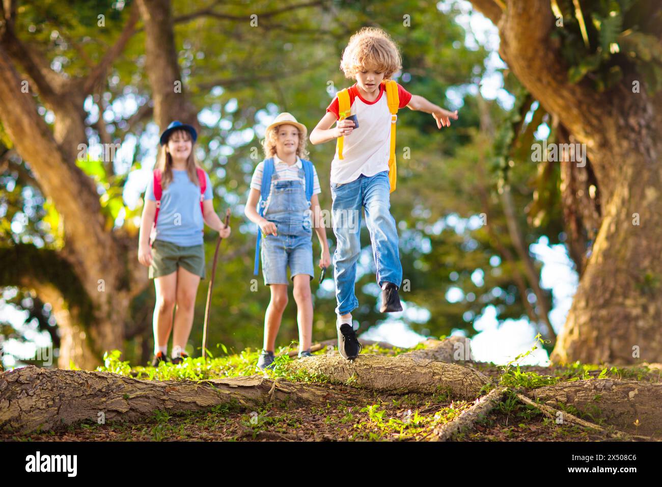 Group scout map hi-res stock photography and images - Alamy