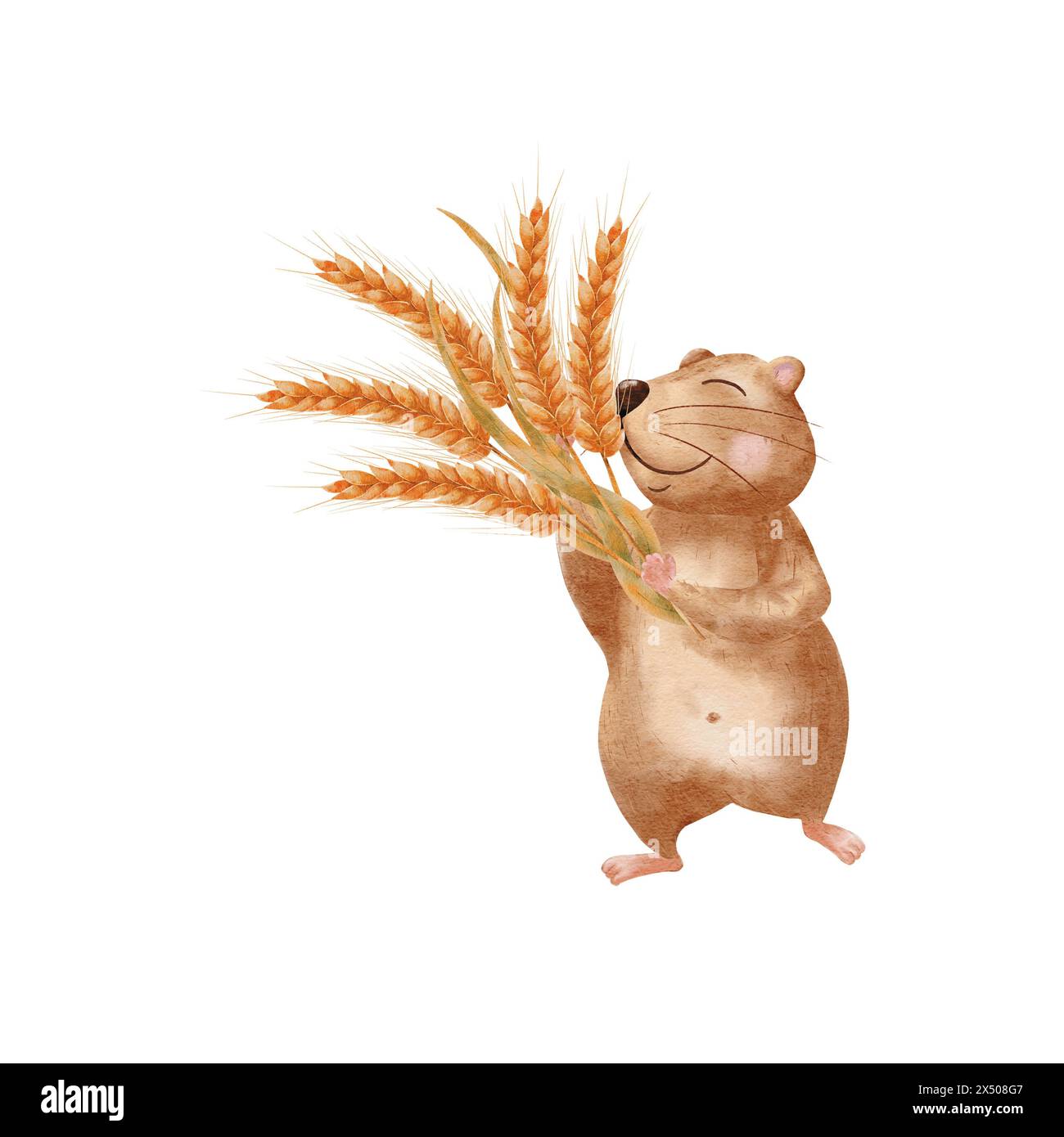 Watercolor hamster. Cheerful fat Hamster with a bouquet of ears of ...