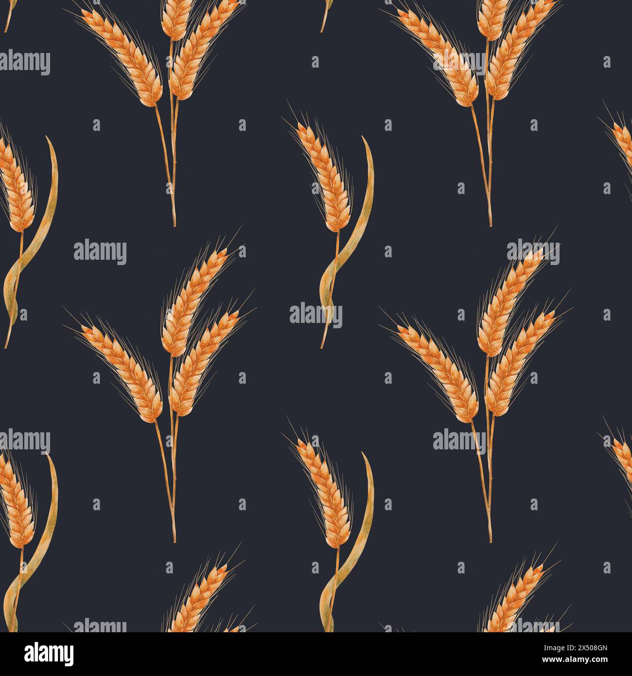 Watercolor ear of ripe wheat. Botanical seamless pattern with grain. An ...