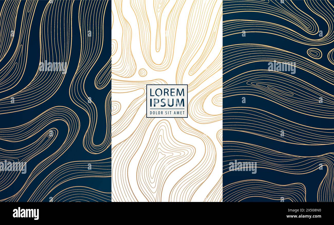 Vector set of gold on black luxury wine design package, abstract line ...