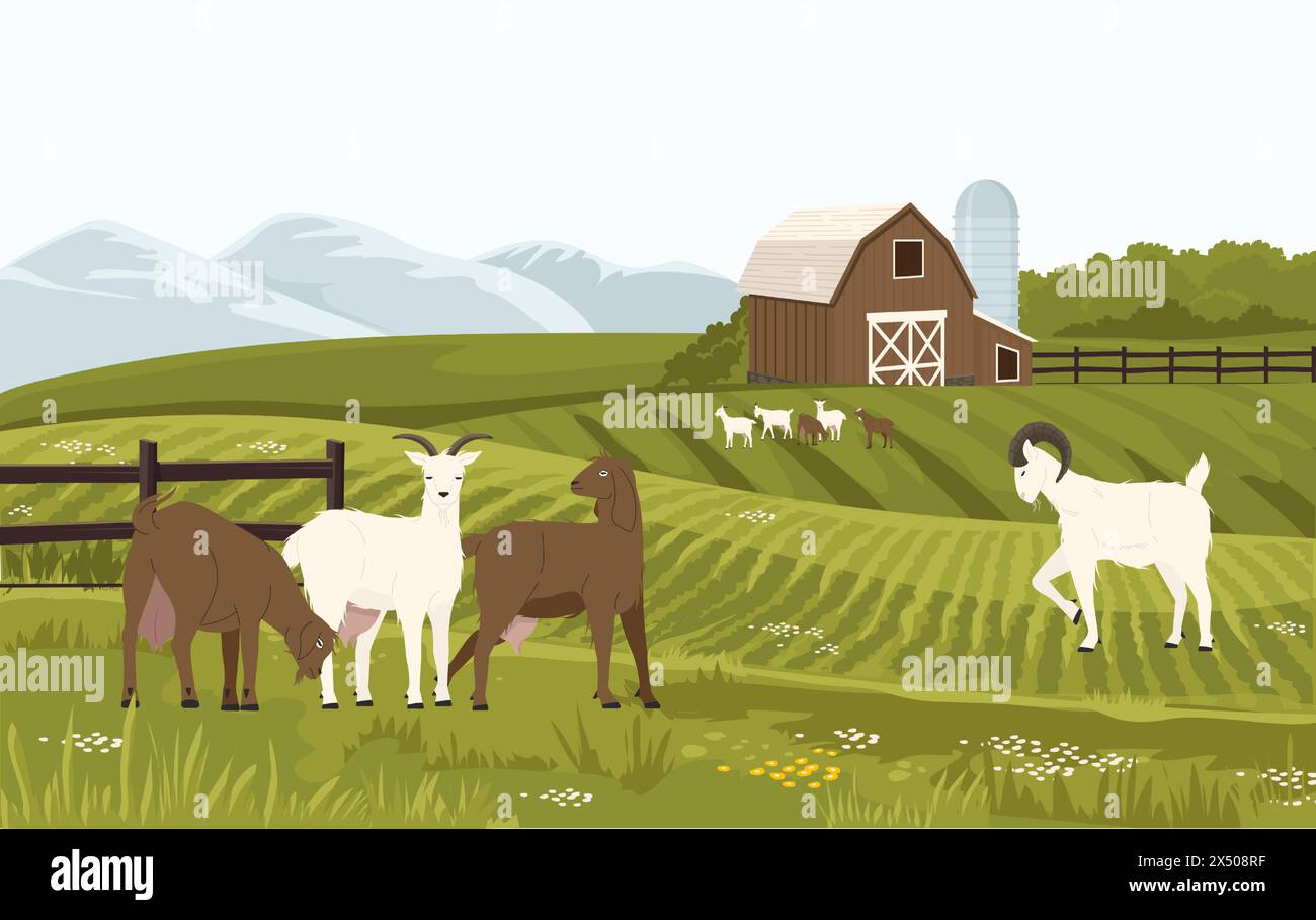 Goat farm. Farm with dairy animals, cottage with baby male and female ...