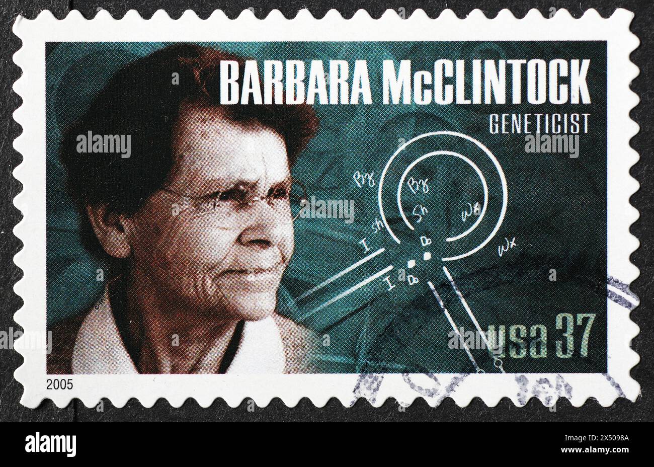 Geneticist Barbara McClintock on american postage stamp Stock Photo - Alamy