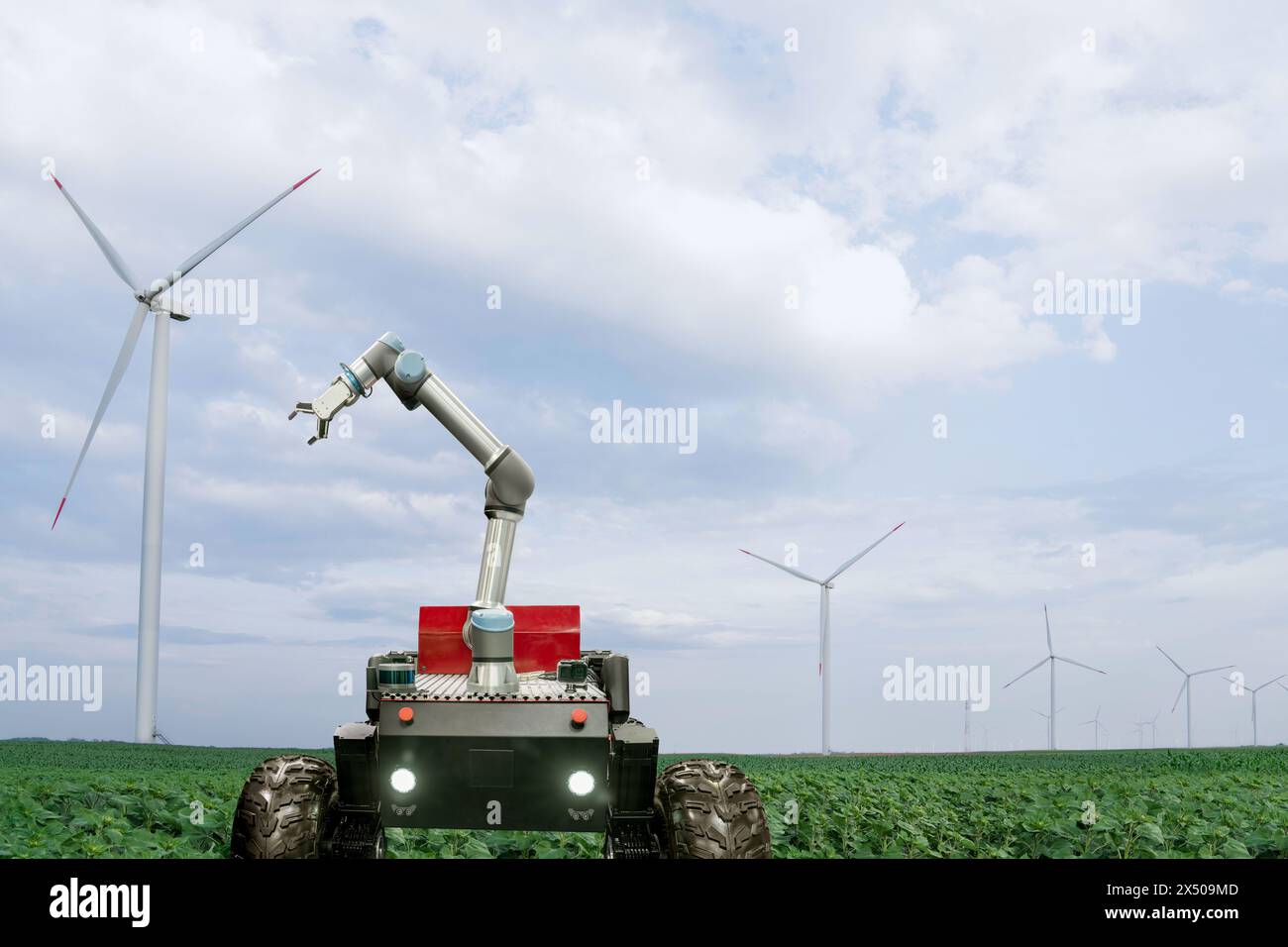 Autonomous robot harvester with robotic arm is working on a field with ...