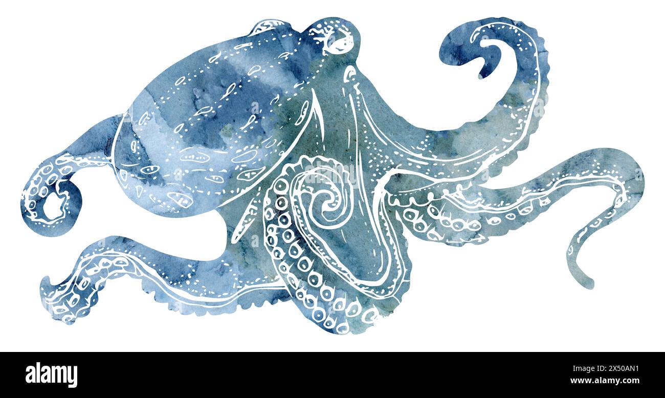 Watercolor and ink hand drawn marine life, sea ocean underwater ...