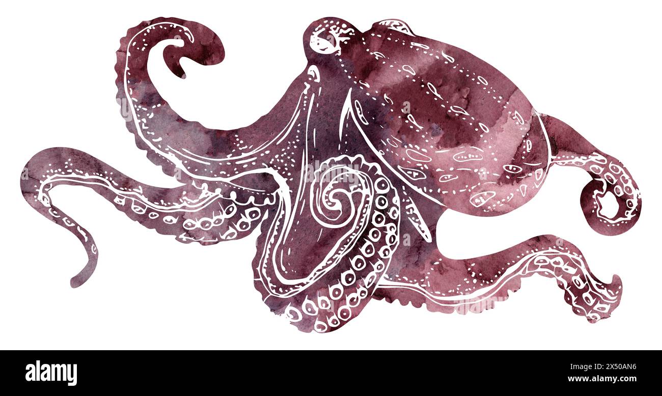 Watercolor and ink hand drawn marine life, sea ocean underwater ...