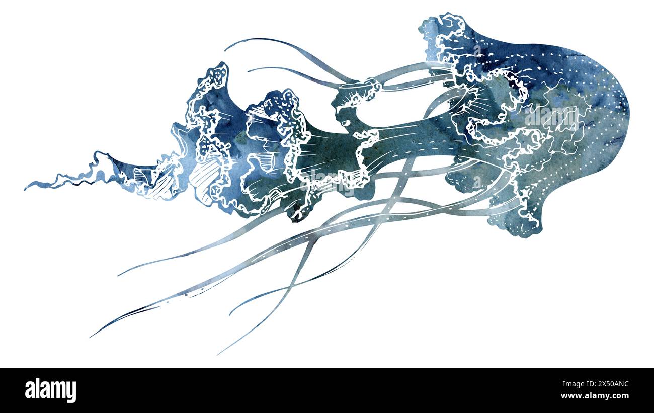 Watercolor and ink hand drawn marine life, sea ocean underwater ...