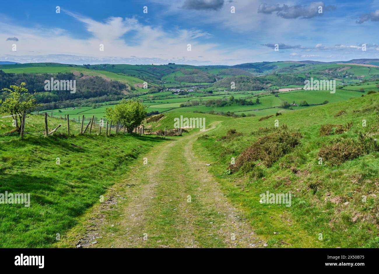 Dropping into the Teme Valley, towards Knucklas, near Skyborry Green ...