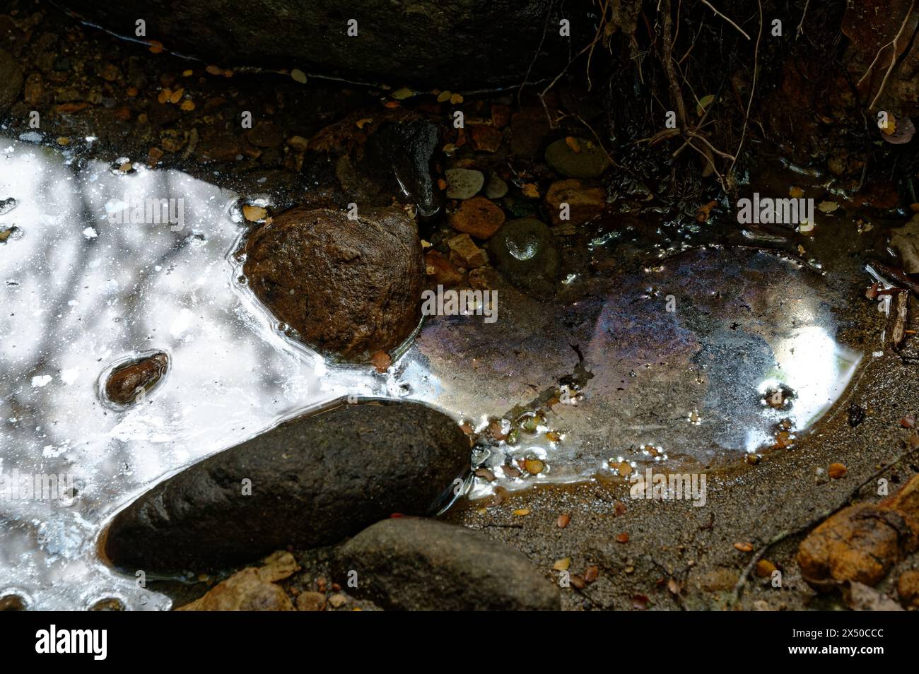 Oil spill water pollution hi-res stock photography and images - Alamy