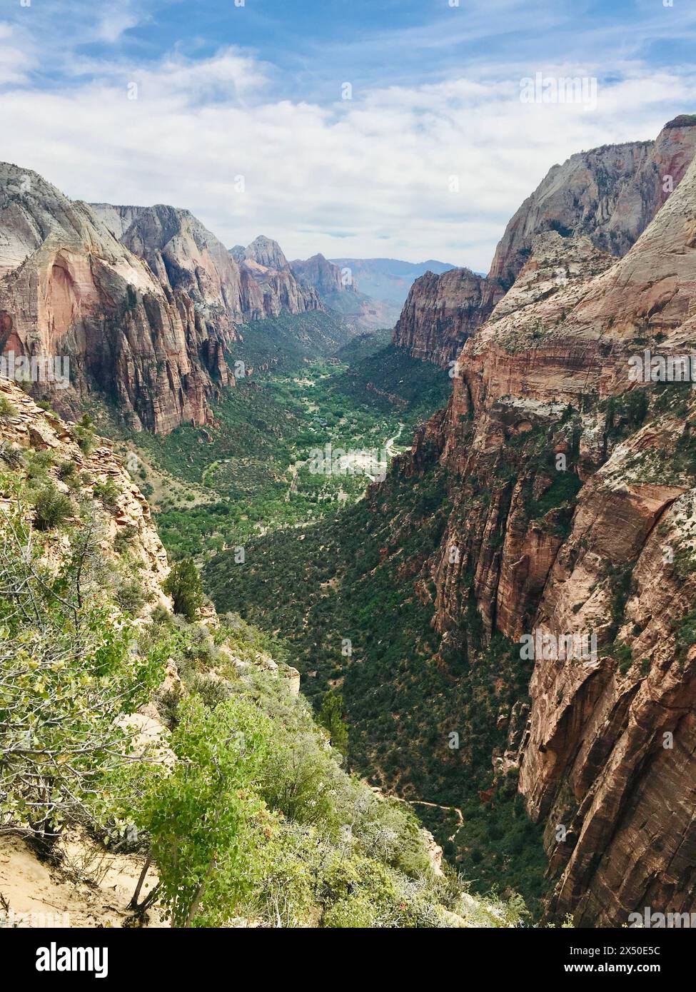 Aerial view of Zion National Park from the top of Angel's Landing, Utah ...