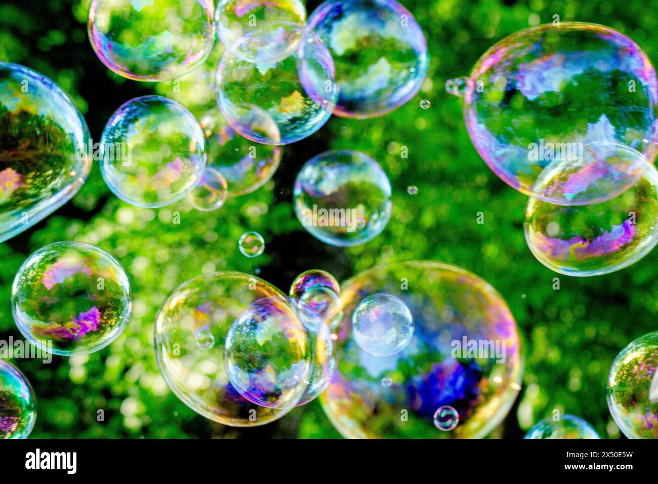 soap bubbles close-up on a background of sun and greenery, abstract ...