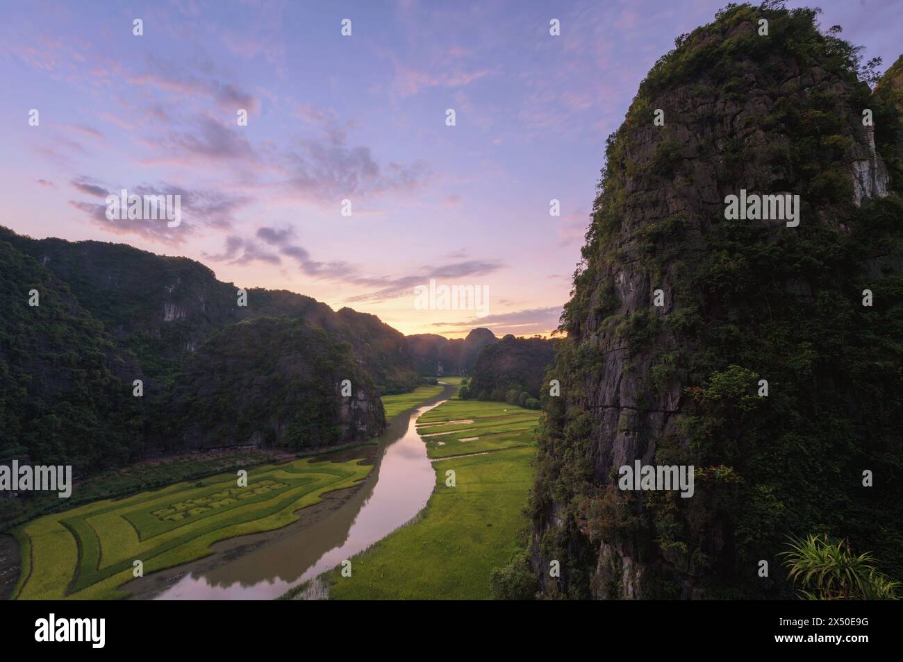 Golden rice fields at Tam Coc Ninh Binh Vietnam'Tam Coc, rice field and ...