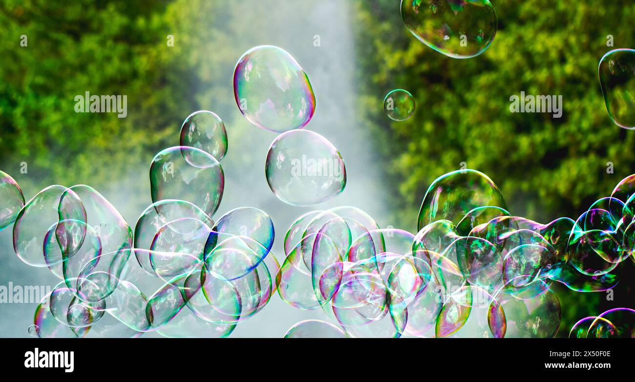 soap bubbles close-up on a background of sun and greenery, abstract ...