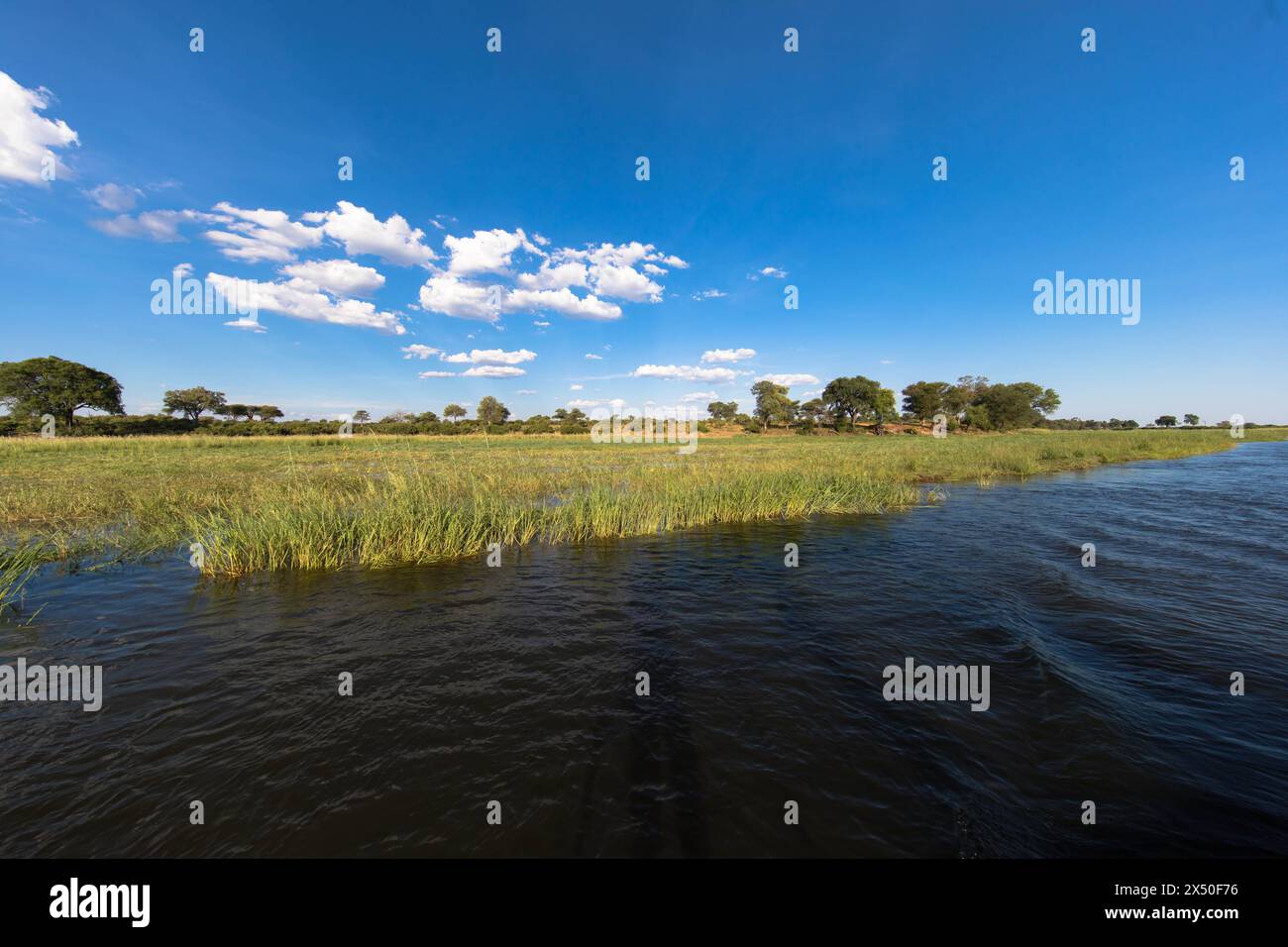 Beautiful panorama view at the area of the Okavango River near Divundu ...