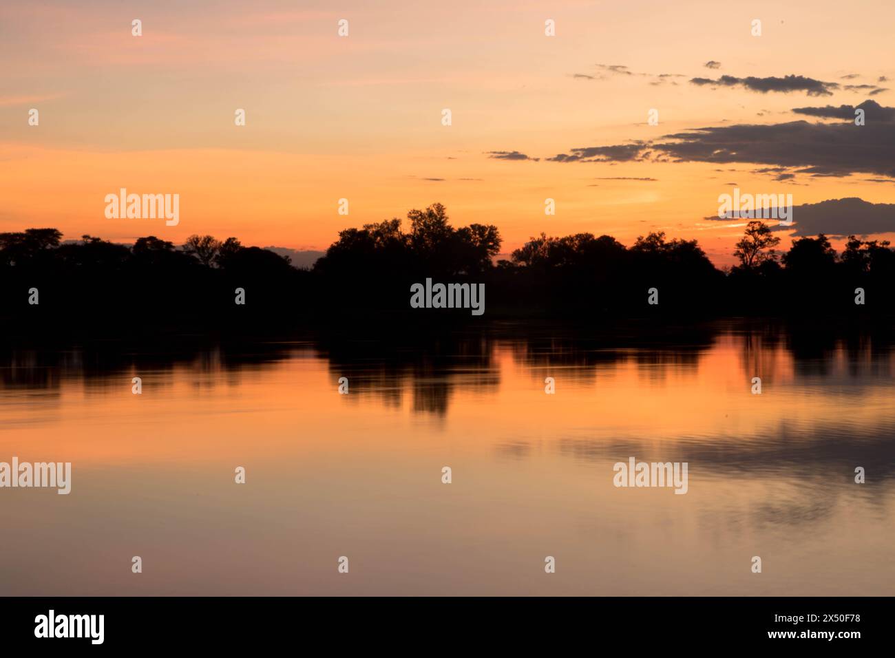 Beautiful panorama sunrise view at the area of the Okavango River near ...