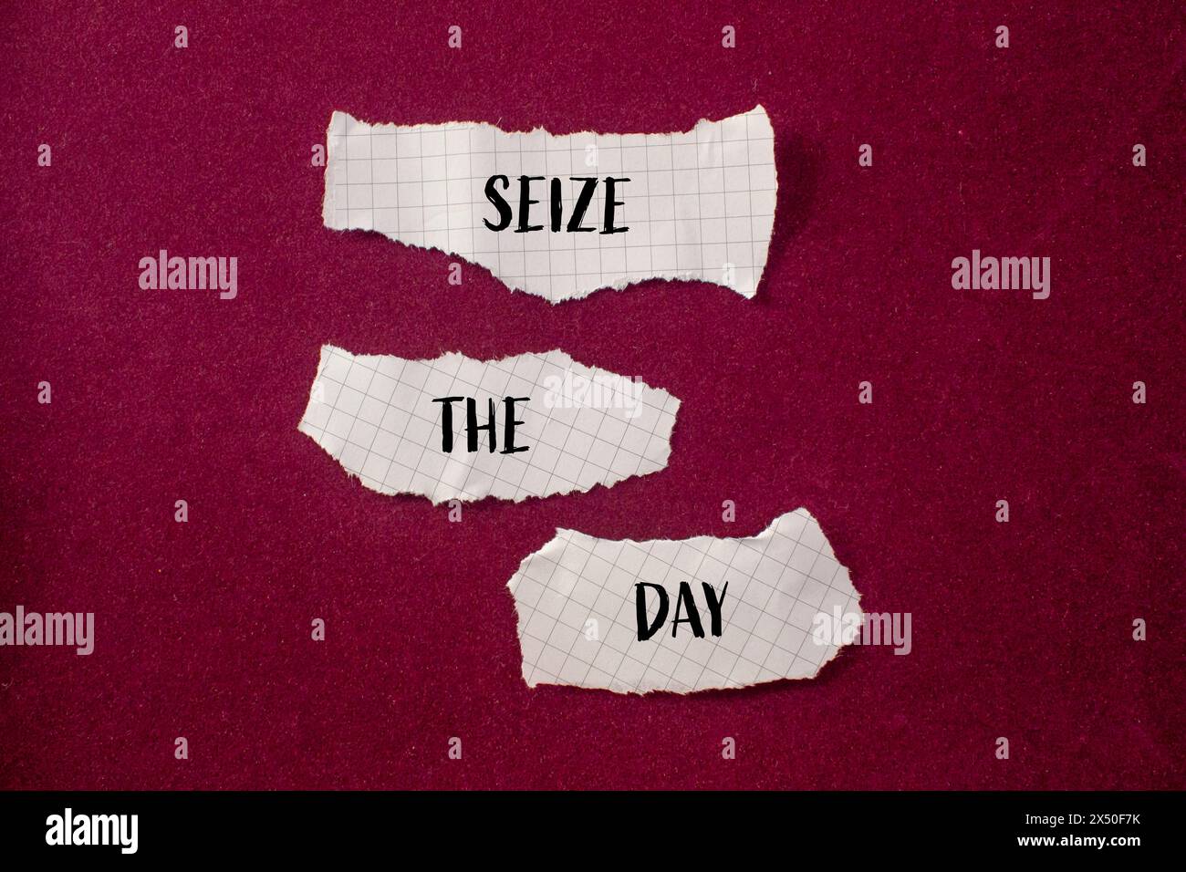 Seize the day words written on ripped white paper pieces with purple ...